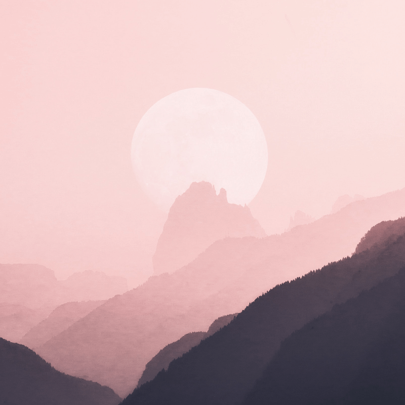 成员信息|清华大学化学系张韶光课题组